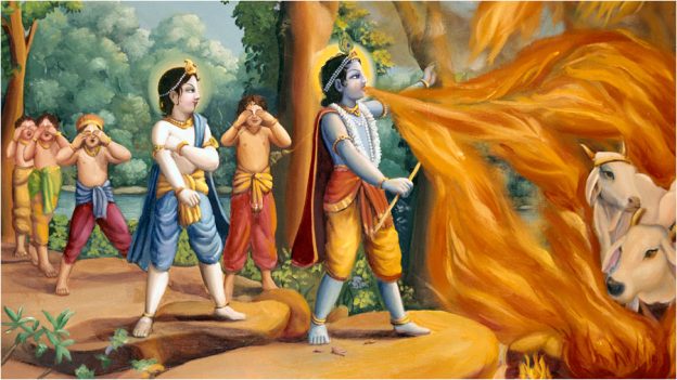 Krishna Avatar – Part 6 | YogaMysticism.Today